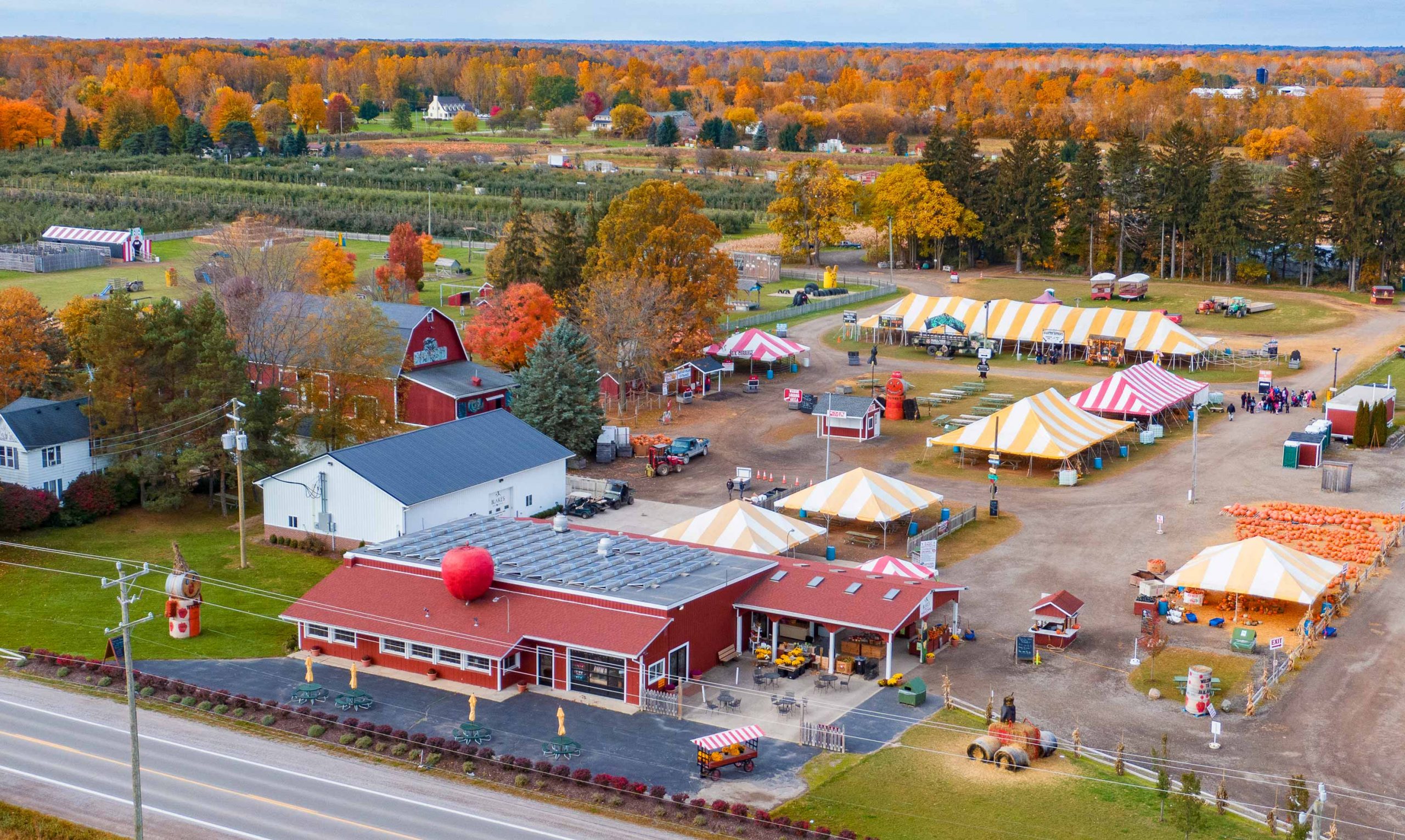 Big Apple - Blake Farms