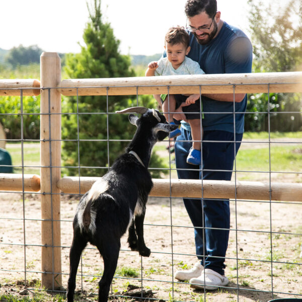 Funland - Blake Farms