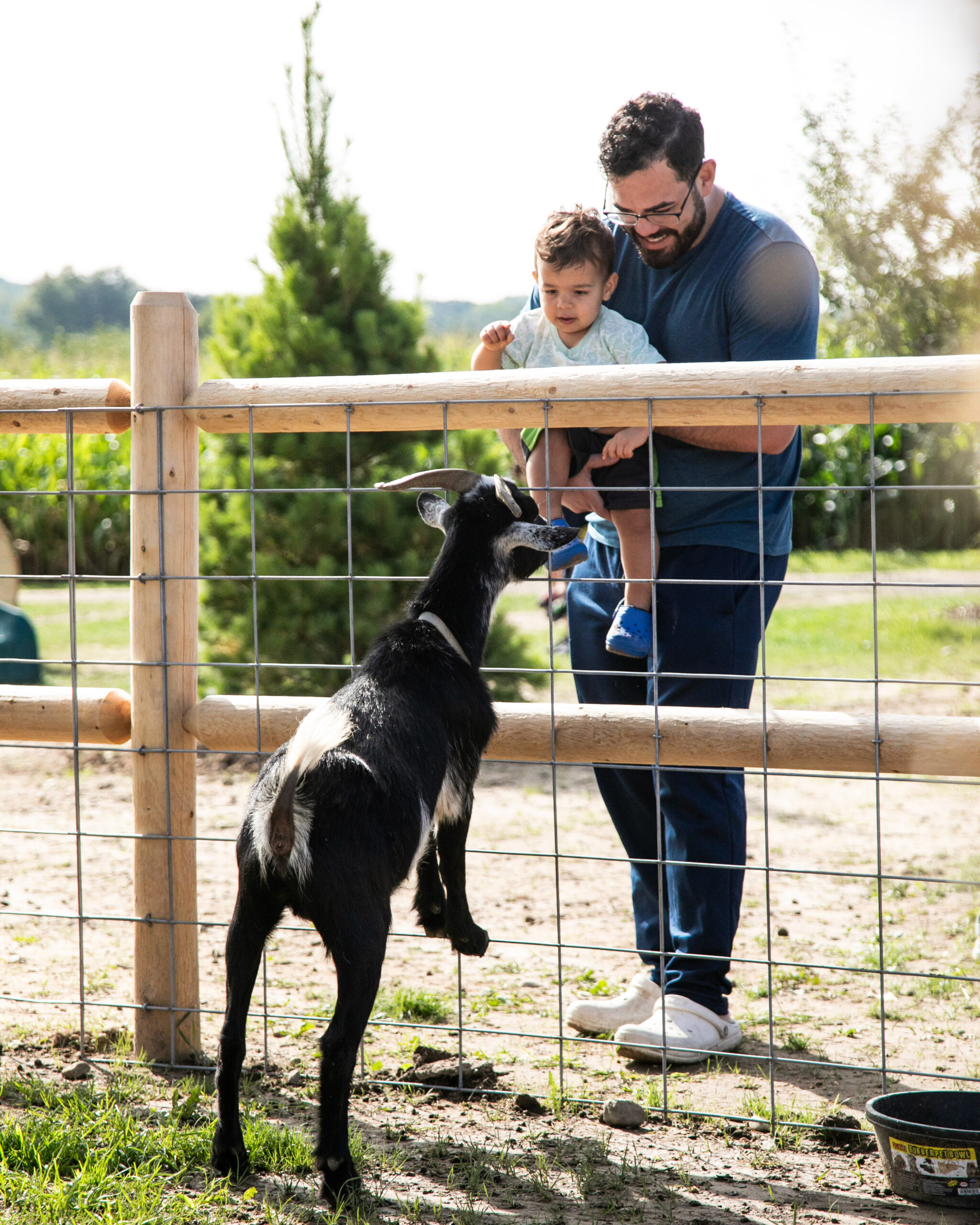Funland - Blake Farms