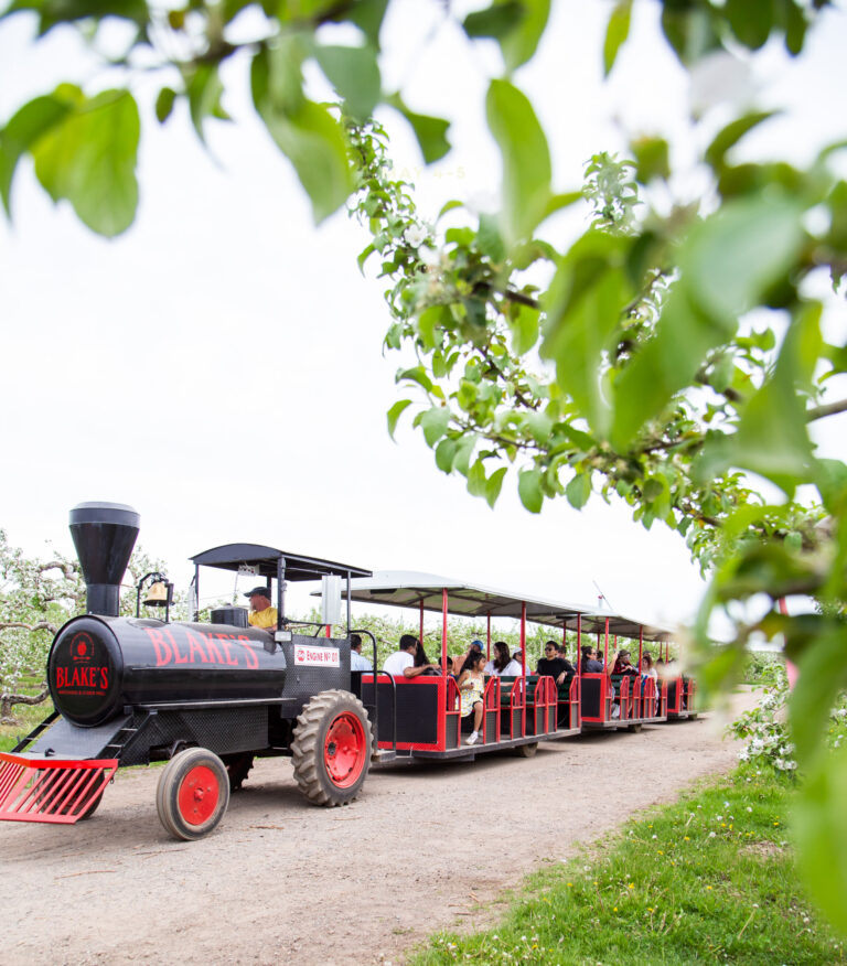 Blake's In Bloom - Blake Farms