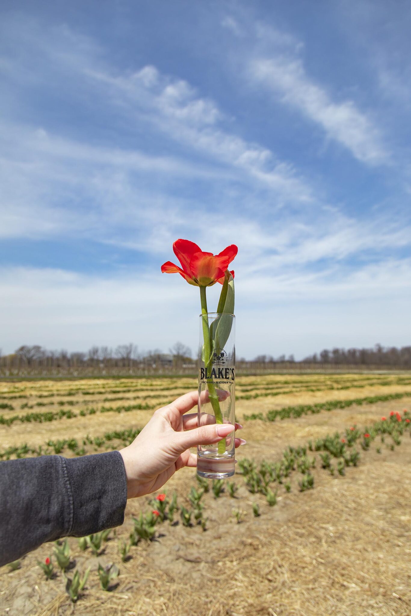 Blake's In Bloom - Blake Farms