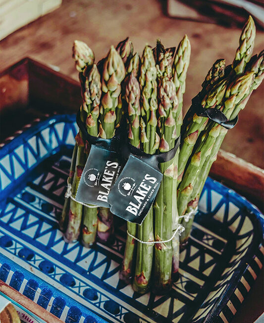 Blakes South Lyon - Blake Farms